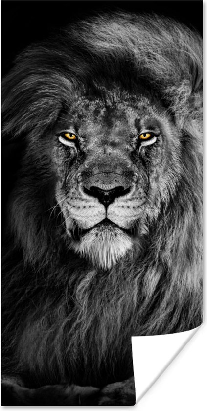 Poster Leeuw - Ogen - Oranje - Zwart wit - Dieren - Portret - 75x150 cm ...