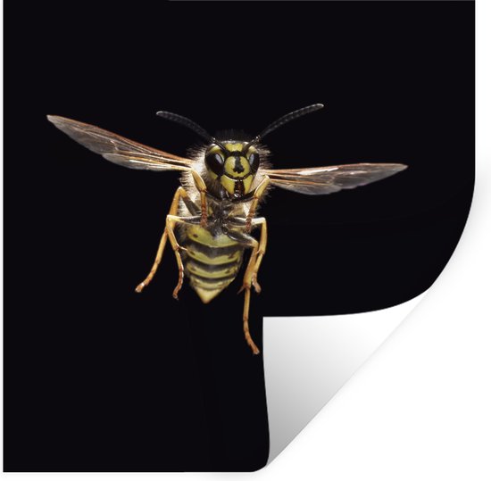 Muurstickers - Sticker Folie - Wesp - Insecten - Portret - 50x50 cm ...