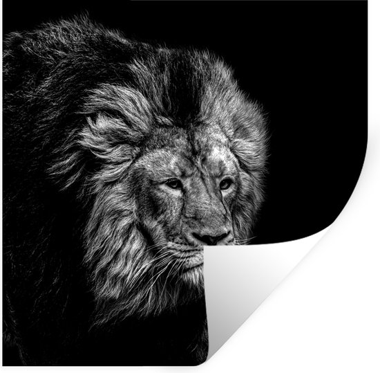 Muurstickers - Sticker Folie - Leeuw - Dieren - Zwart - Wit - 80x80 cm - Plakfolie -... | bol