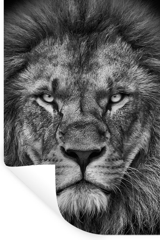 Muurstickers - Sticker Folie - Dieren - Leeuw - Zwart - Wit - Portret - 80x120 cm -... | bol
