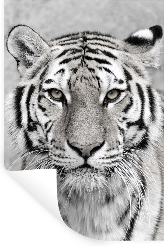 Muurstickers - Sticker Folie - Tijger - Natuur - Zwart - Wit - 40x60 cm - Plakfolie -... | bol