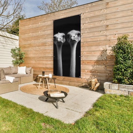 Tuinposter 80x160 cm - Tuindecoratie Struisvogels - Halzen - Zwart ...