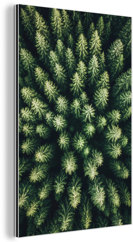 Aluminium schilderij 100x150 cm - Wanddecoratie metaal - Bomen ...