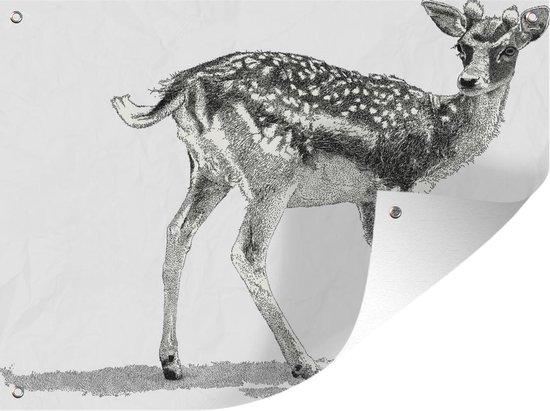 Tuin decoratie Een natuurgetrouwe tekening van een jong hert - 40x30 cm ...