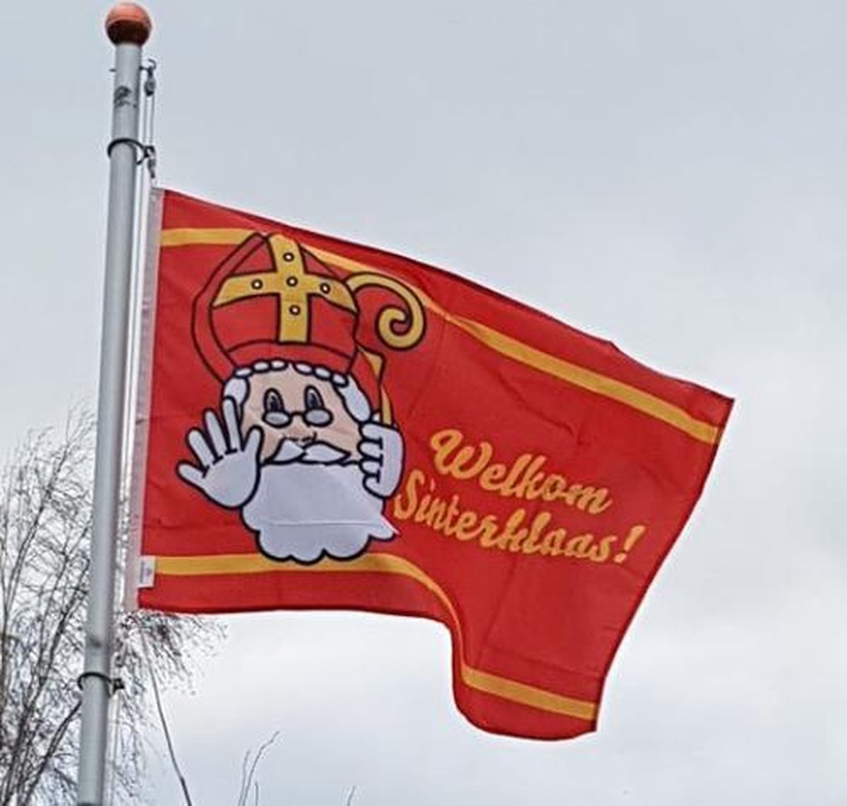 welkom Sinterklaas vlag 70x100cm | bol.com