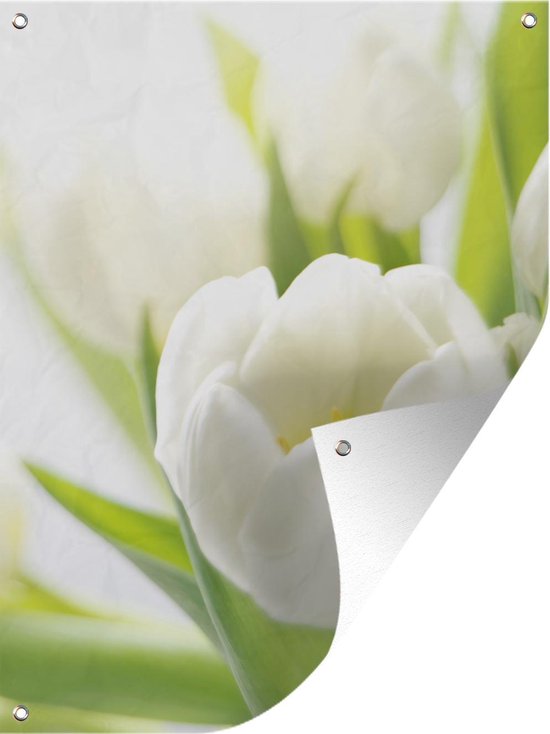Tuin decoratie Close-up van een witte tulp - 30x40 cm | bol.com