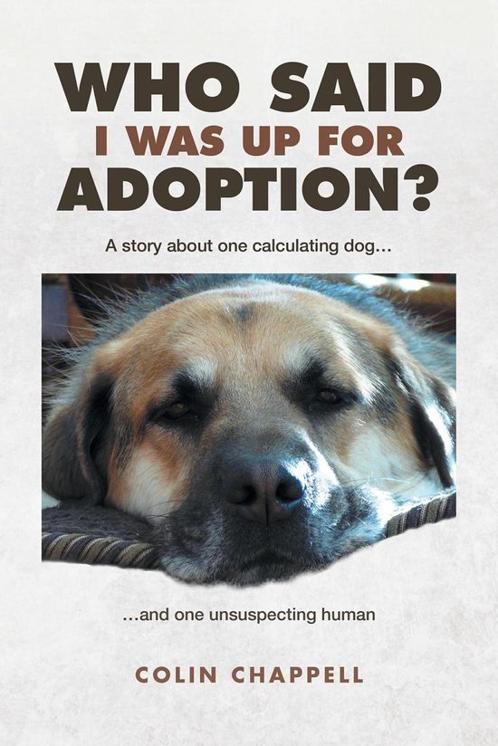 Who Said I Was Up For Adoption? (ebook), Colin Chappell | 9781460280065 ...