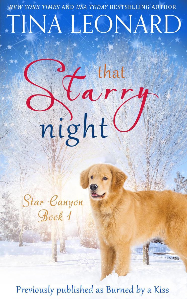 Star Canyon 1 - That Starry Night (ebook), Tina Leonard | 1230002479934 | Boeken | bol.com