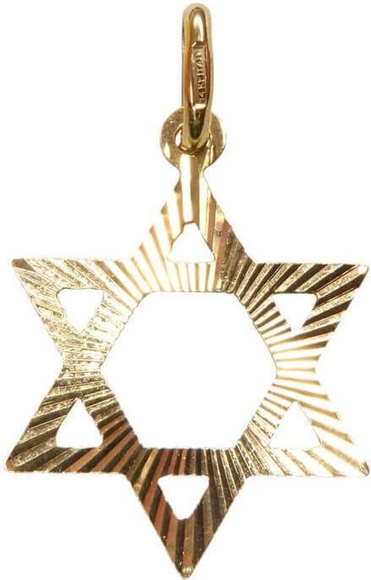 Gouden David ster hanger | bol