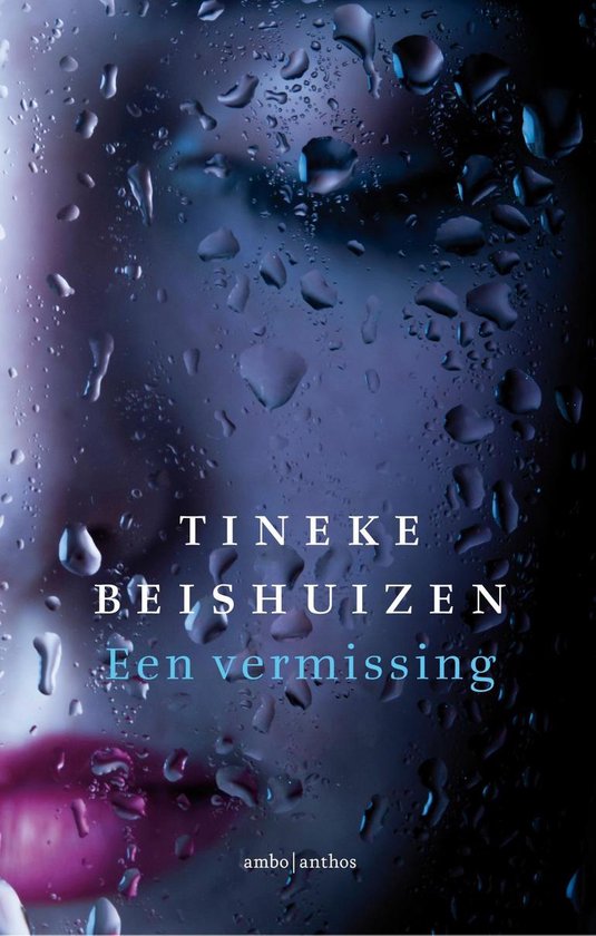 Een vermissing (ebook), Tineke Beishuizen | 9789026344404 | Boeken | bol