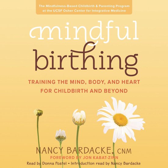 Mindful Birthing, Nancy Bardacke | 9780062565952 | Boeken | bol.com