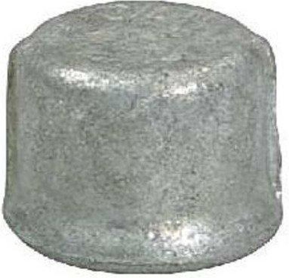 Nefit Ind Nr301 ronde dop binnendraad 1 gegalvaniseerd | bol.com