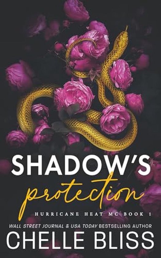 Discreet Edition: Shadow's Protection Novel | bol