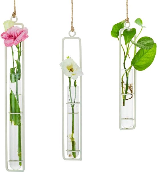 Hanging Clear Glass Propagation Station - Tube Vases voor Cuttings ...