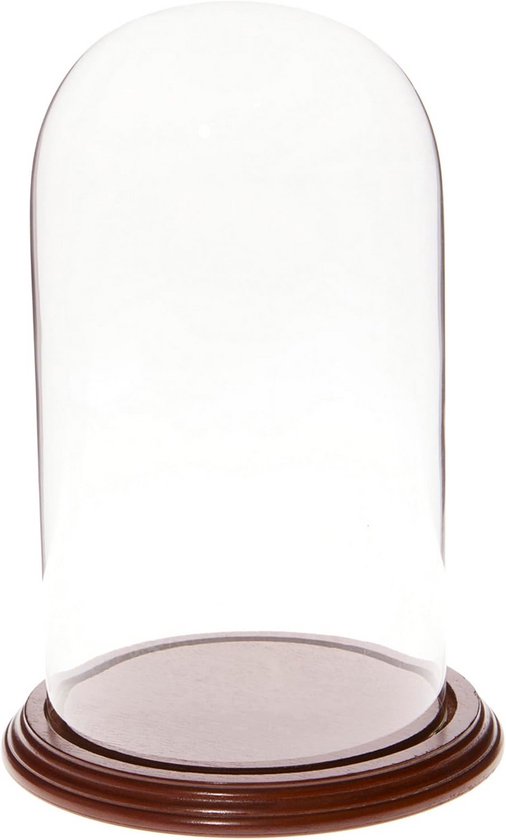 Glazen Display Koepel Cloche met Houten Basis voor Decoratie en Vitrine ...