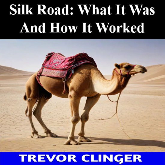 Silk Road: What It Was And How It Worked, Trevor Clinger ...