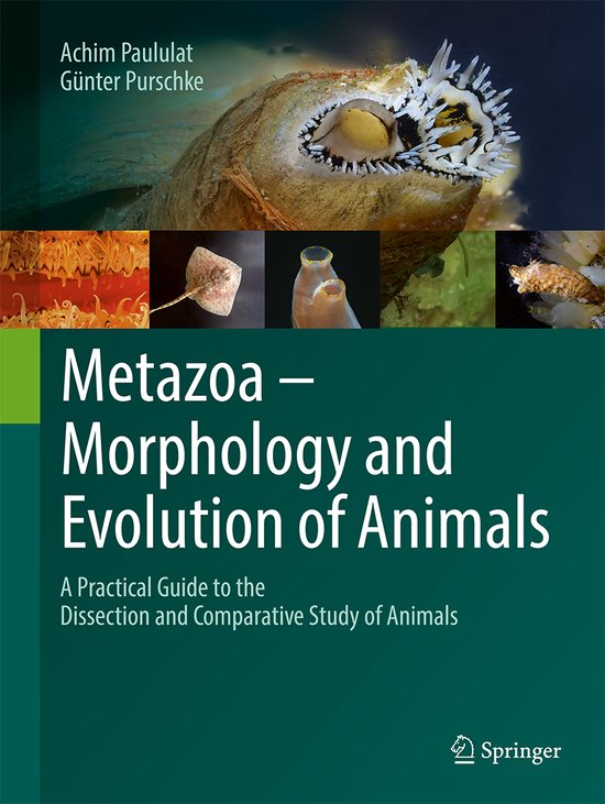 Metazoa – Morphology and Evolution of Animals | 9783662699034 | Achim ...