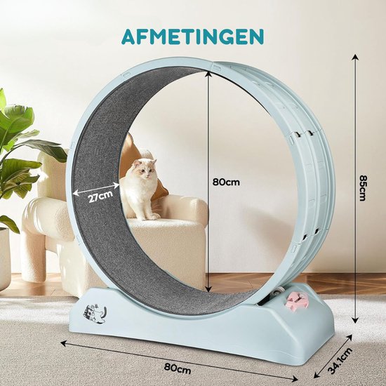 Katten Loopwiel – Looprad Kat 80 cm – Cat Wheel Met Pootbescherming ...