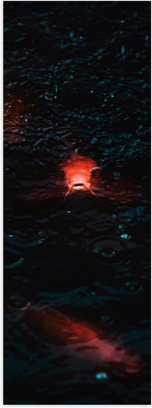 Poster Glanzend – Rode Vissen aan Wateroppervlak tijdens Regenbui ...
