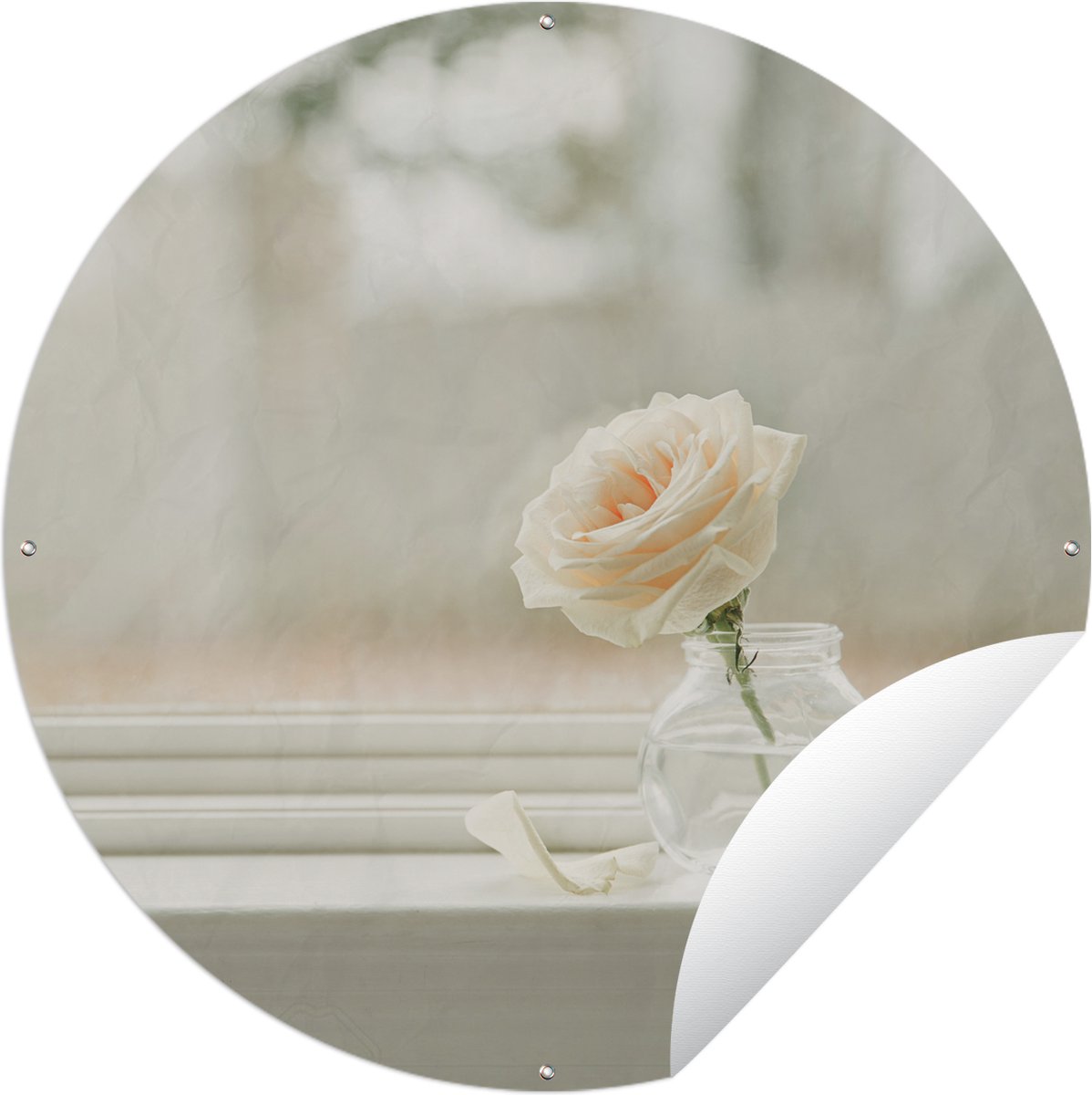Cercle de jardin Rose dans un vase dans un rebord de fenêtre - 150x150 ...