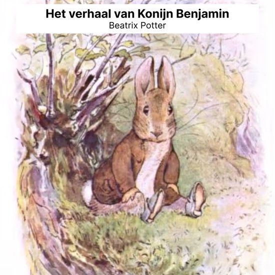 Het verhaal van Konijn Benjamin, Beatrix Potter | 9798822607453 | Boeken | bol