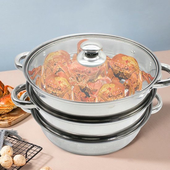 RVS Stoompot Voedsel Steamer Pan met Gehard Glas Deksel | bol.com
