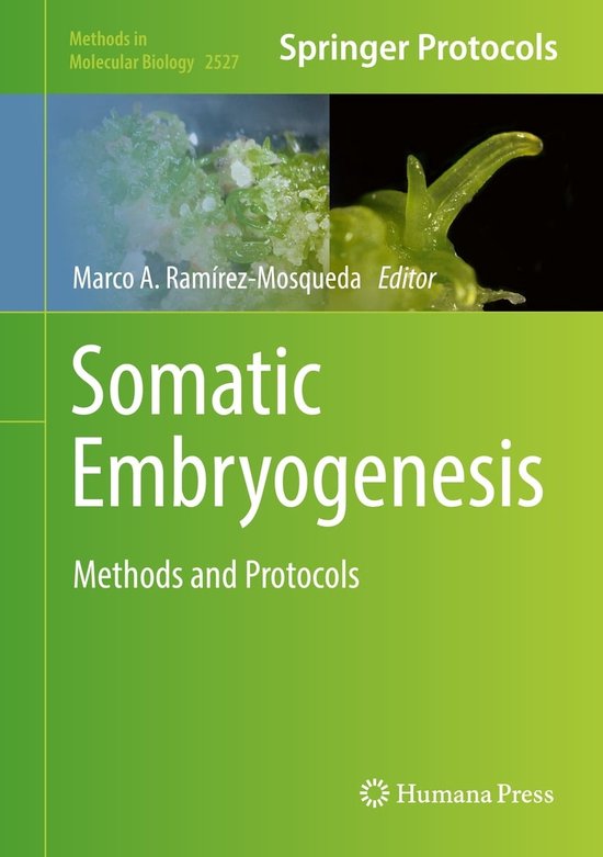 Methods in Molecular Biology 2527 - Somatic Embryogenesis (ebook ...