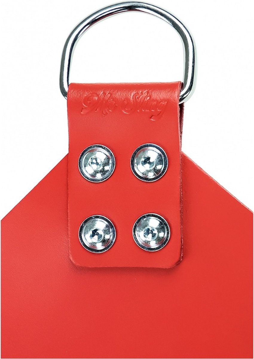 Adjusted Leather sling - 4 points - Red | bol.com