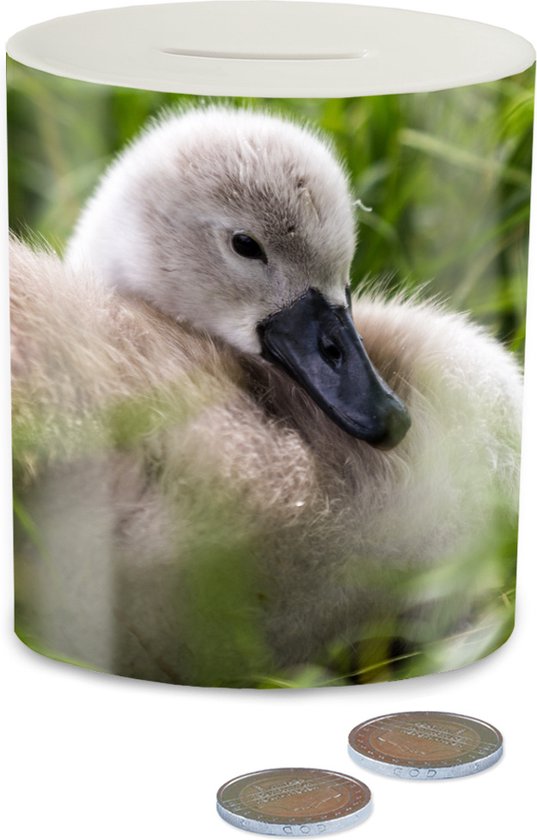 Spaarpot - Spaarblik - Zwaan - Baby - Kuiken - Spaarpotten ...