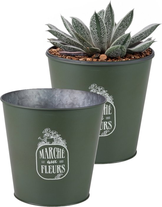 Sunnydays Emmer/plantenpot/bloempot - 2x - zink - legergroen - D23 x H22 cm | bol