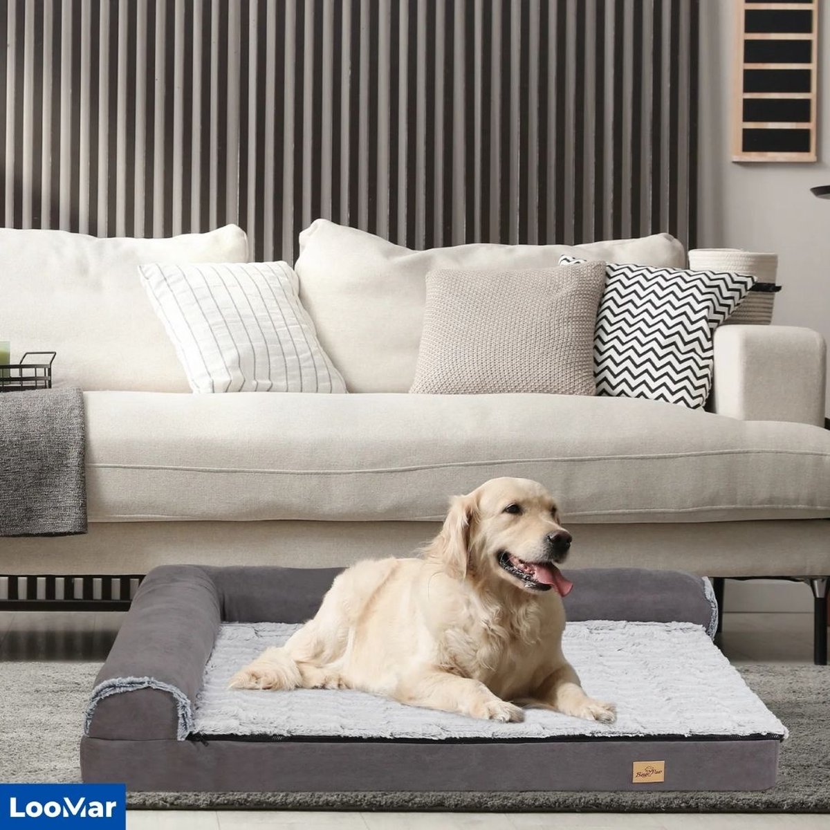 LooMar Hondenbed - Hondenbank - Hondenzetel - Hondensofa - Hondenbench ...