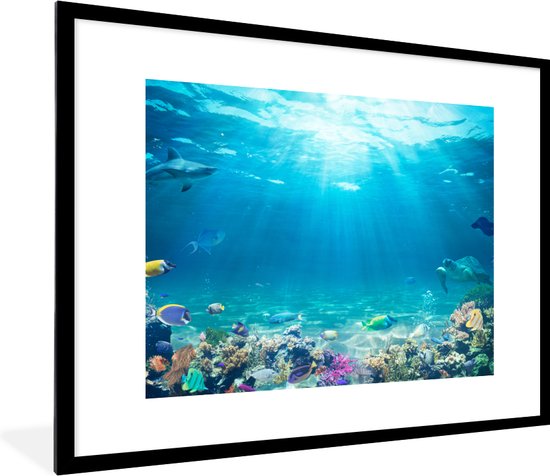 PosterMonkey - Poster - Poster in lijst - Fotolijst - Vissen ...