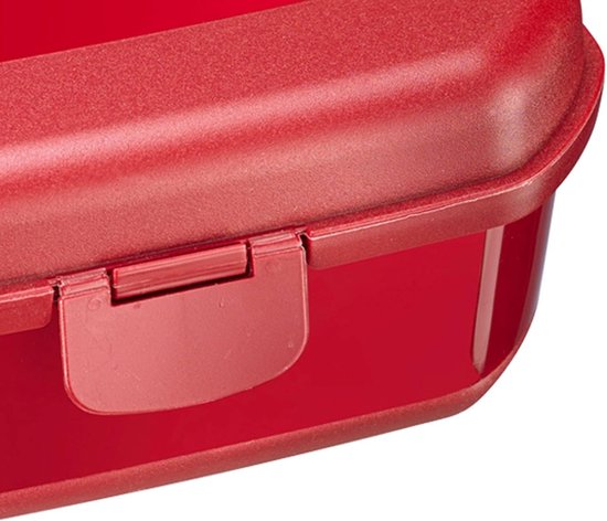 Fietsset: 1 fietskoffer voor alle bagagedragers, 2 snackboxen, 2 ...