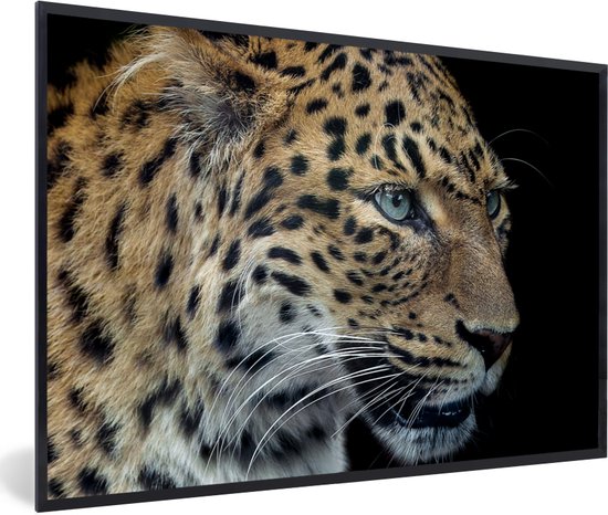 Fotolijst incl. Poster - Panthere portrait version 2.0 - 60x40 cm ...