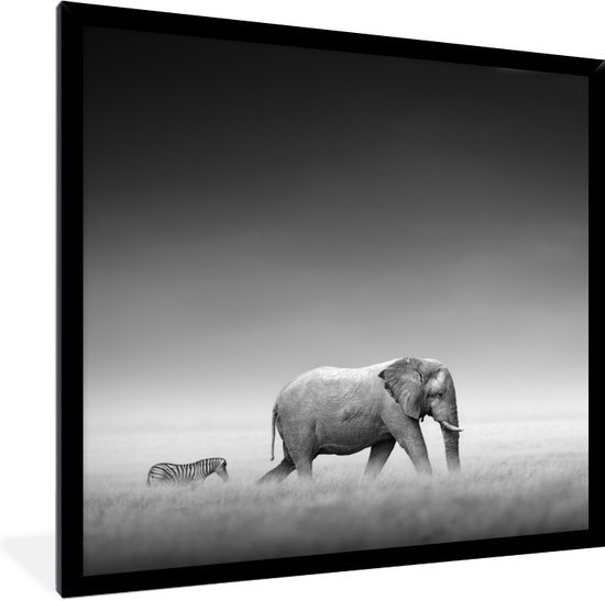 Fotolijst incl. Poster Zwart Wit- Olifant - Dieren - Landschap - Zwart ...