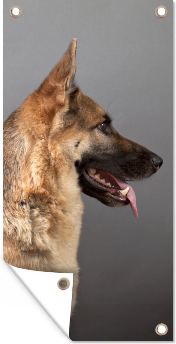 Poster de jardin Berger Allemand vue de côté - 40x80 cm - Décoration ...