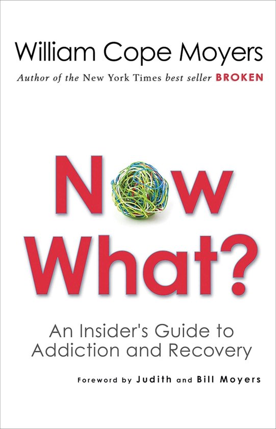 Now What? (ebook), William Cope Moyers | 9781616494520 | Boeken | bol