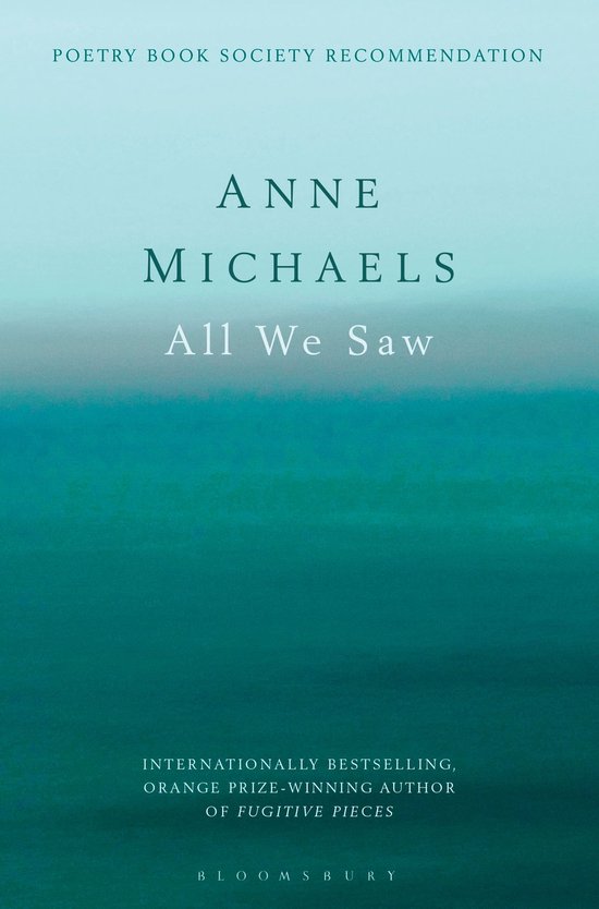 All We Saw (ebook), Anne Michaels | 9781408880920 | Boeken | bol.com
