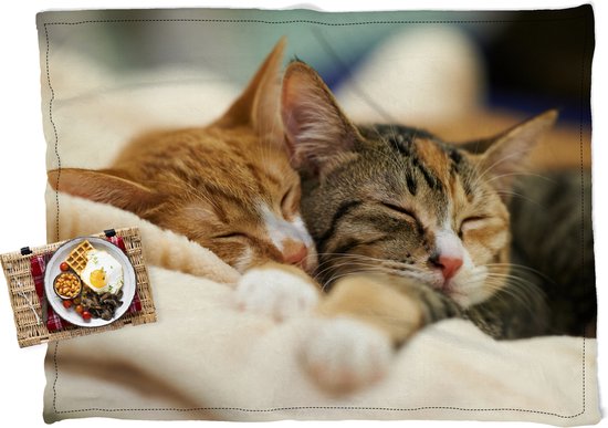 Picknickkleed - Buitenkleed - Katten - Slapen - Kleed - Vloerkleed ...