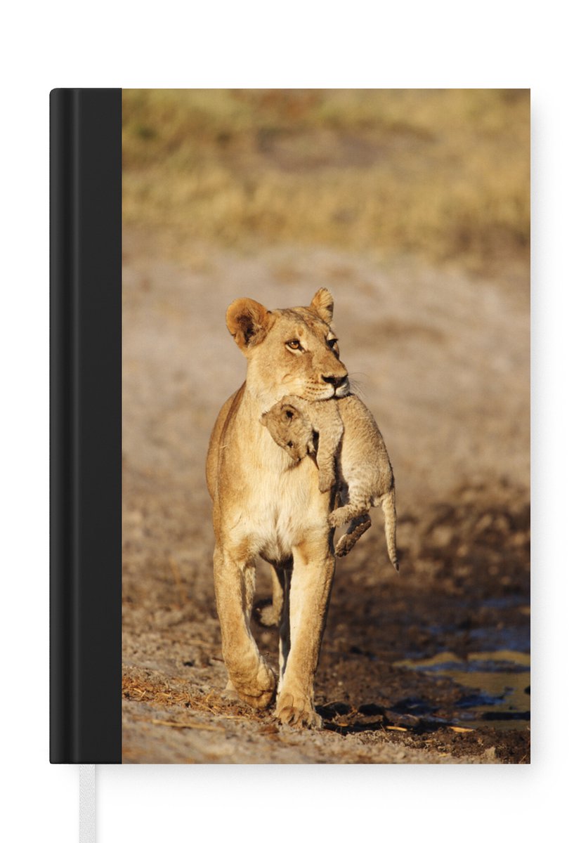 Carnet - Carnet d'écriture - Profil - Lion - Cub - Carnet - Format A5 ...