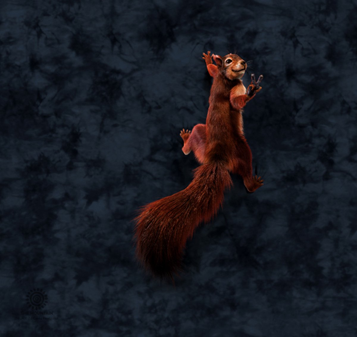 Tumbler Peace Squirrel 500 ml | bol.com