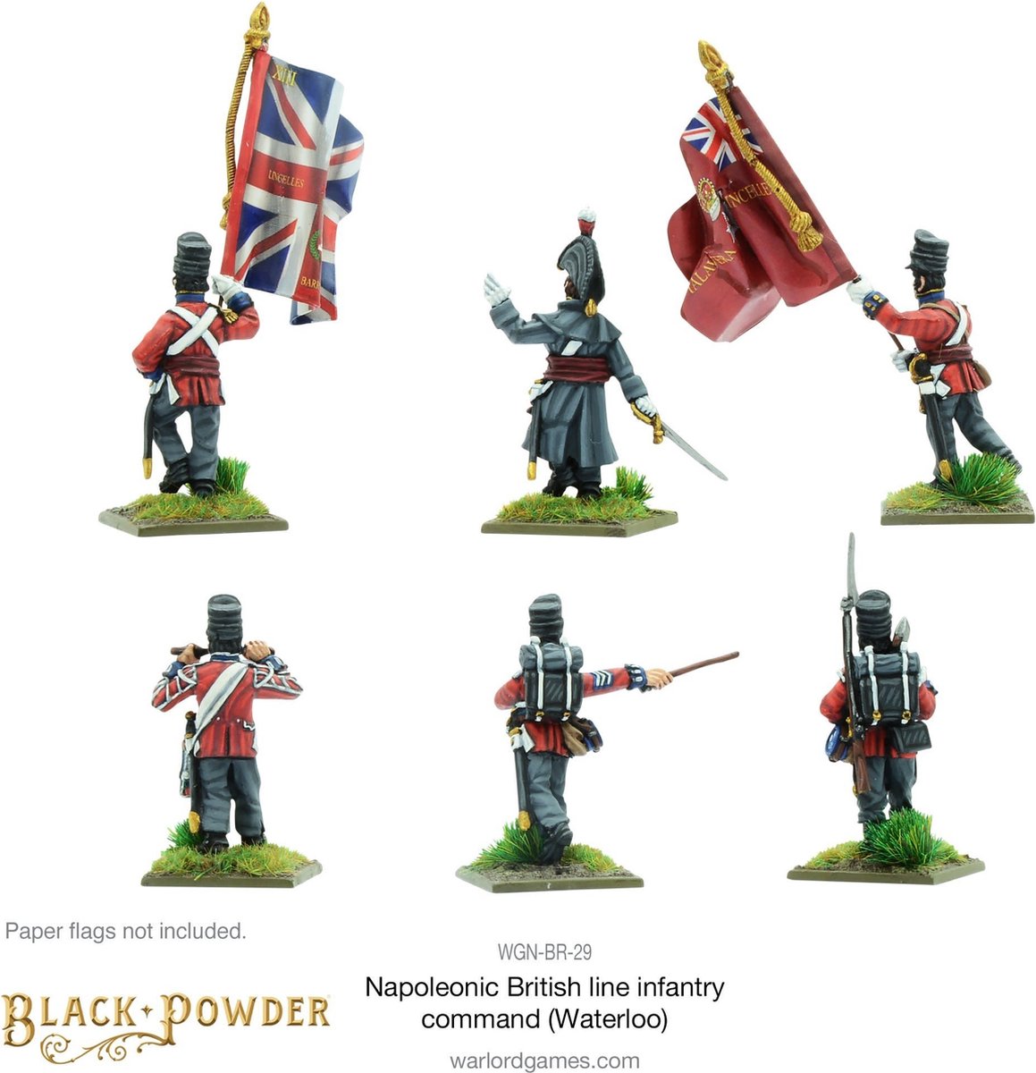 Napoleonic British Line Infantry command (Waterloo campaign) | bol.com