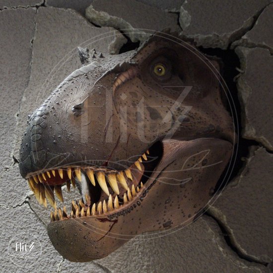 100% Nederlandse Productie! │ Diamond Painting │ Kop T-Rex│ Formaat 70 ...