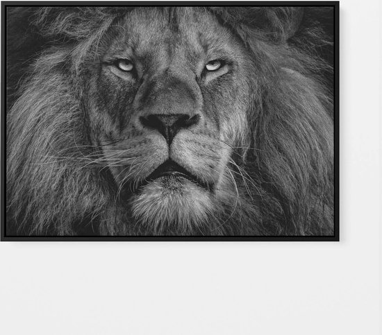 Leeuw Portret – Zwart WitDieren Leeuw | 120x80 cm | Dieren Leeuw ... Leeuw Portret – Zwart WitDieren Leeuw | 120x80 cm | Dieren Leeuw ...