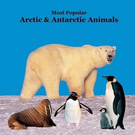 Most Popular Arctic and Antarctic Animals Kids Book, Kinsey Marie ...