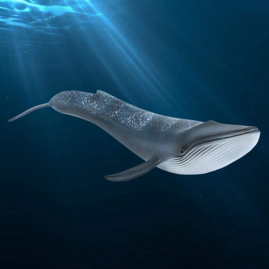 Walvis beeldje model voor woonaccessoire - zeedieren simulatie - blauwe ...