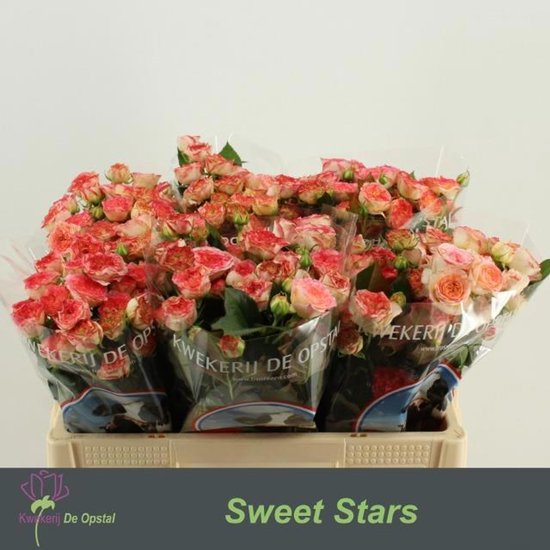 10x Rosa sweet stars 50cm | bol