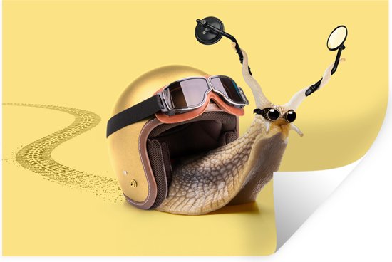 Stickers muraux - Feuille Autocollant - Escargot - Animaux - Casque ...