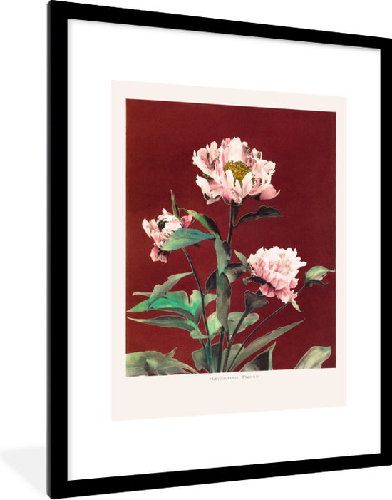 Fotolijst incl. Poster - Bloemen - Planten - Kleuren - Rood - Vintage ... Fotolijst incl. Poster - Bloemen - Planten - Kleuren - Rood - Vintage ...