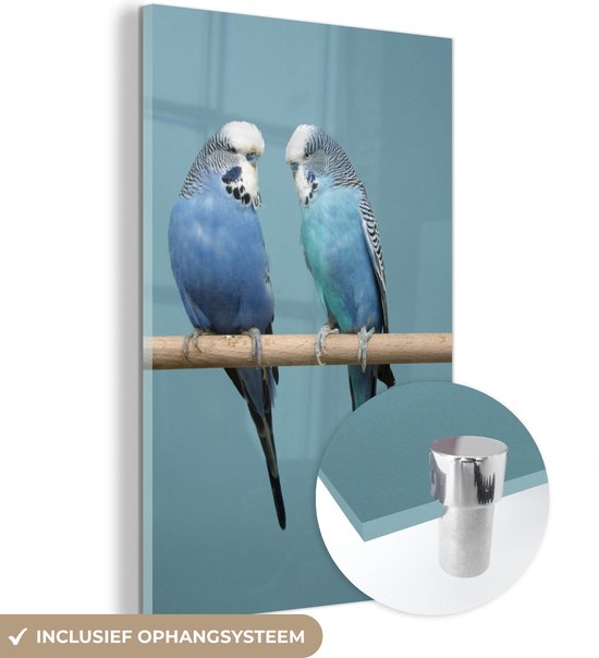 MuchoWow® Glasschilderij 120x180 cm - Schilderij acrylglas - Twee ...